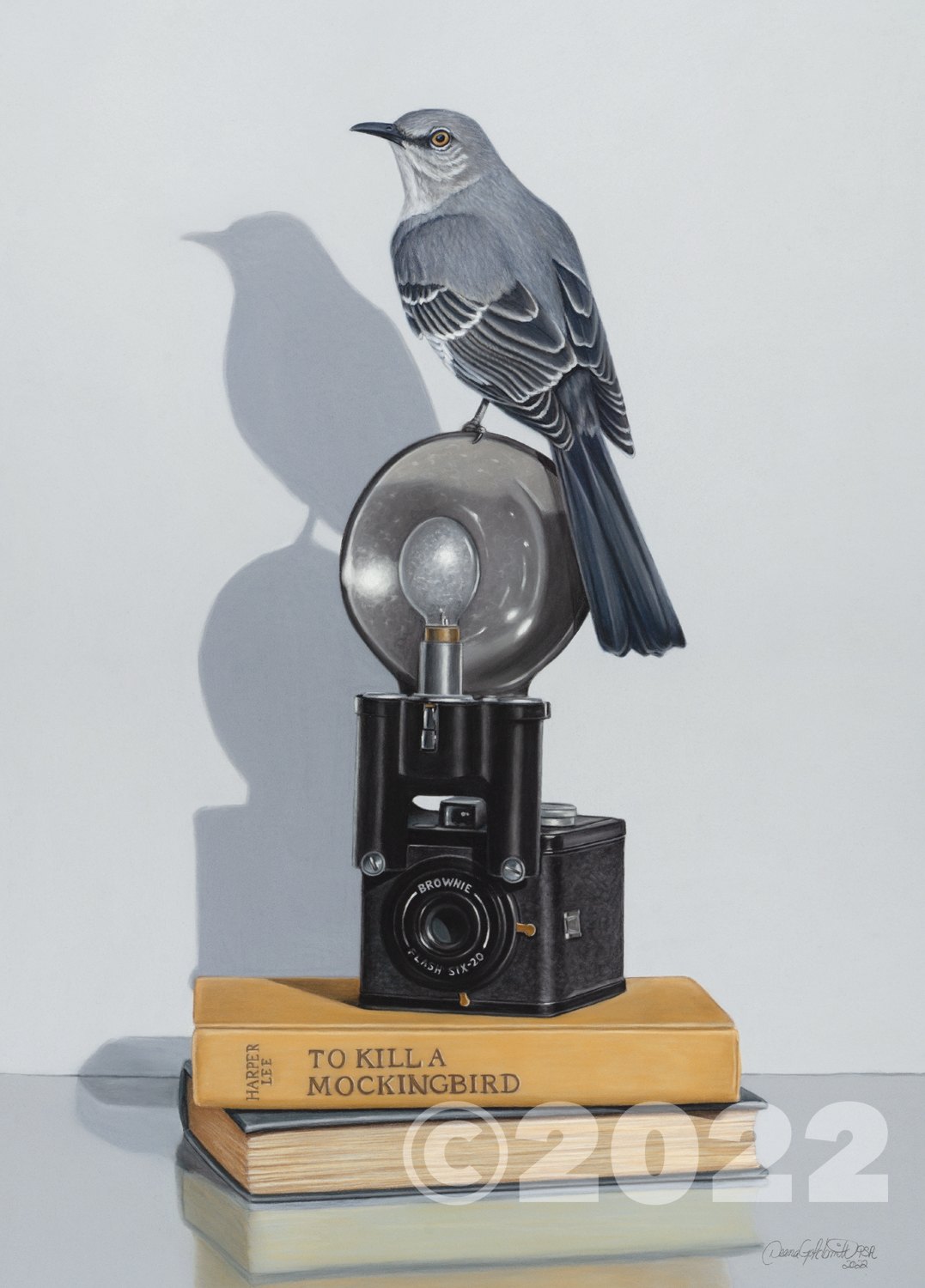 Gallery – Deana Goldsmith