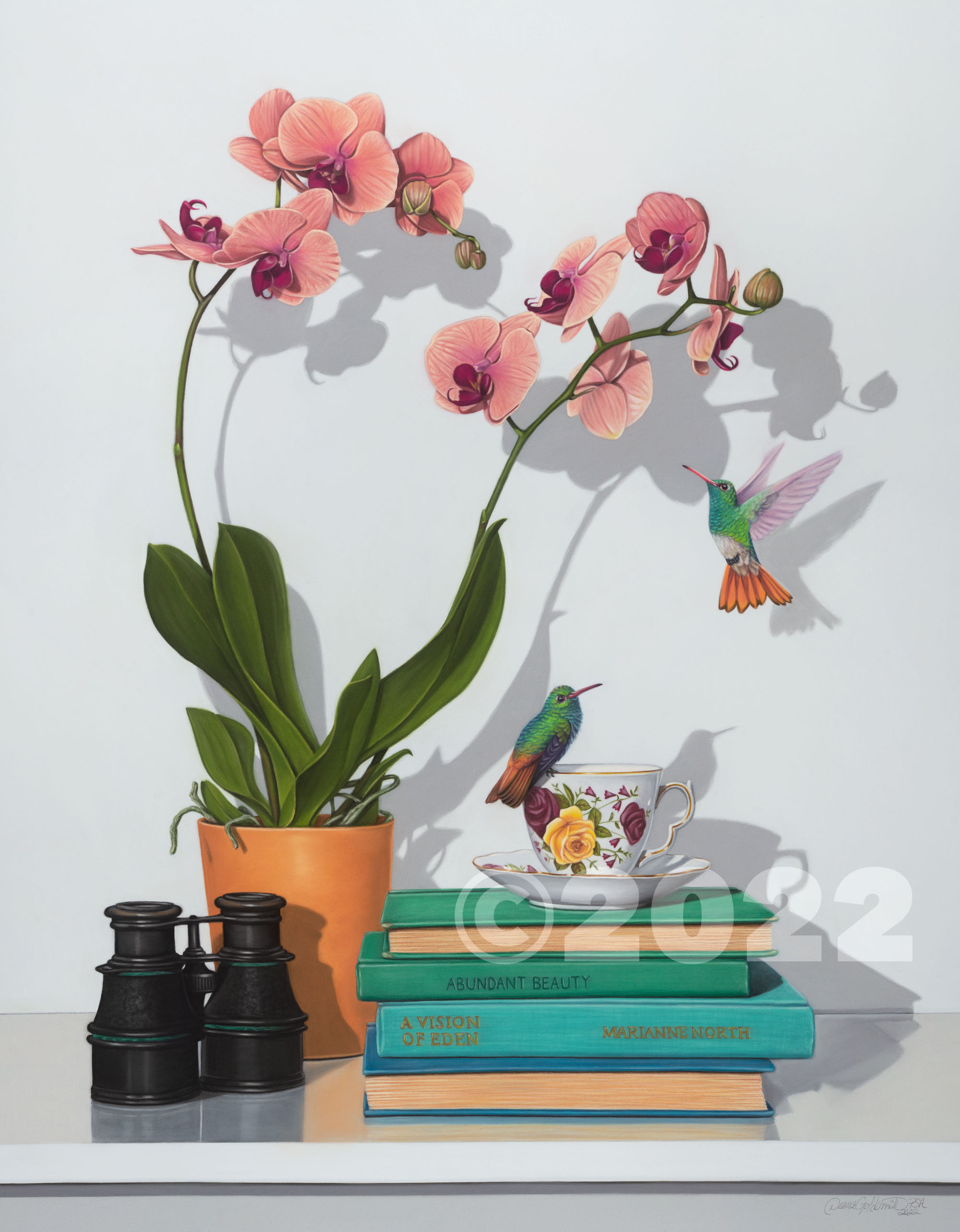 Gallery – Deana Goldsmith