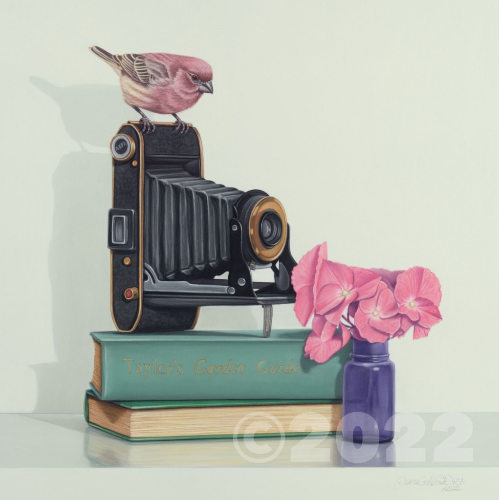 Gallery – Deana Goldsmith