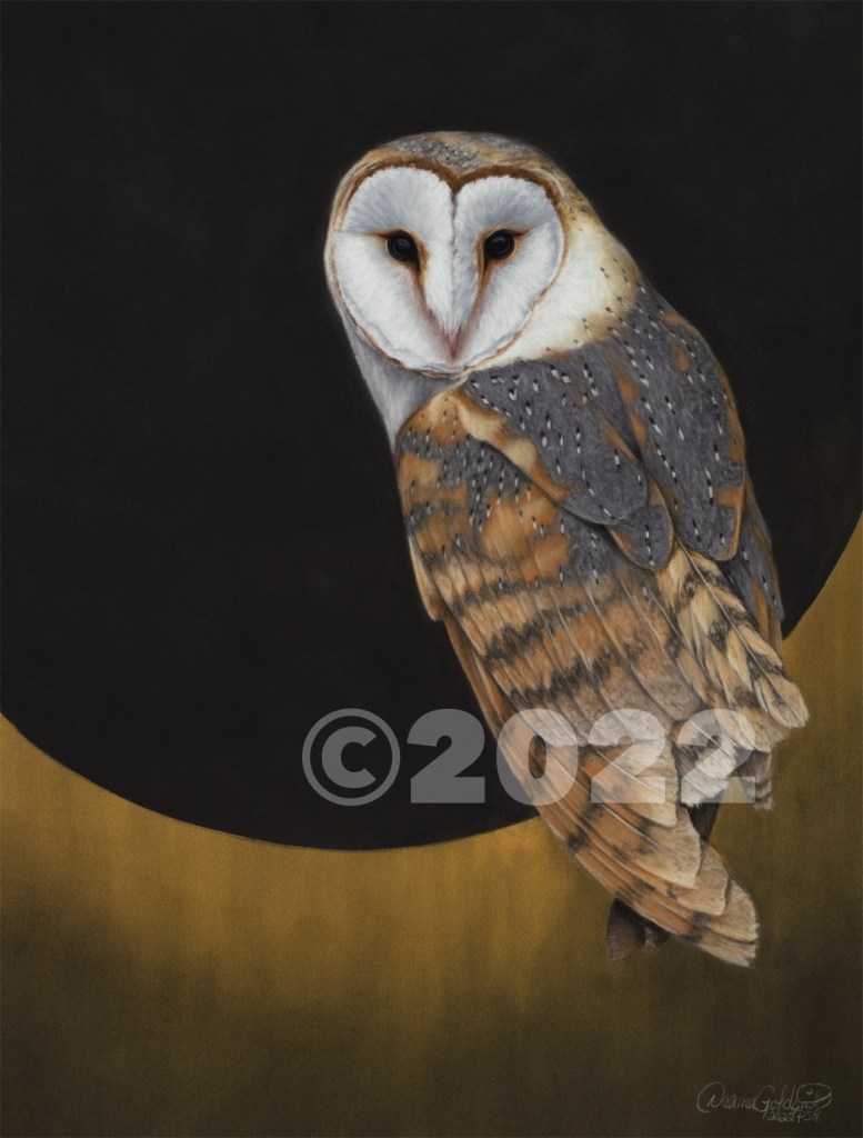 Gallery – Deana Goldsmith