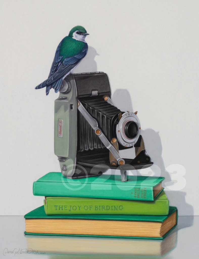 Gallery – Deana Goldsmith