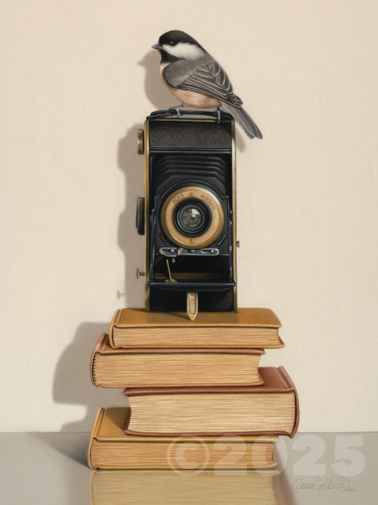 Gallery – Deana Goldsmith