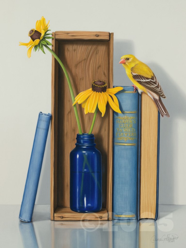 Gallery – Deana Goldsmith