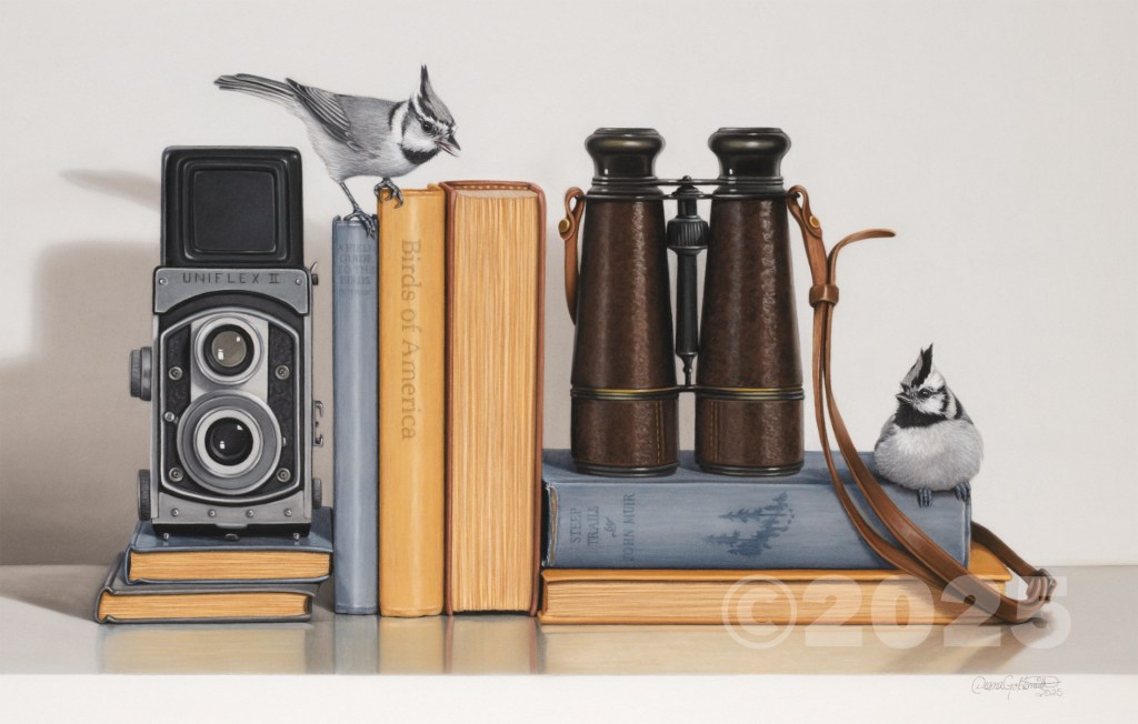 Gallery – Deana Goldsmith
